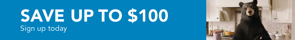 Natural Gas Rates in Georgia | SCANA Energy